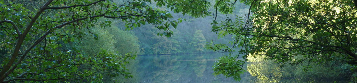 Welcome - Spiral Path Life Coaching