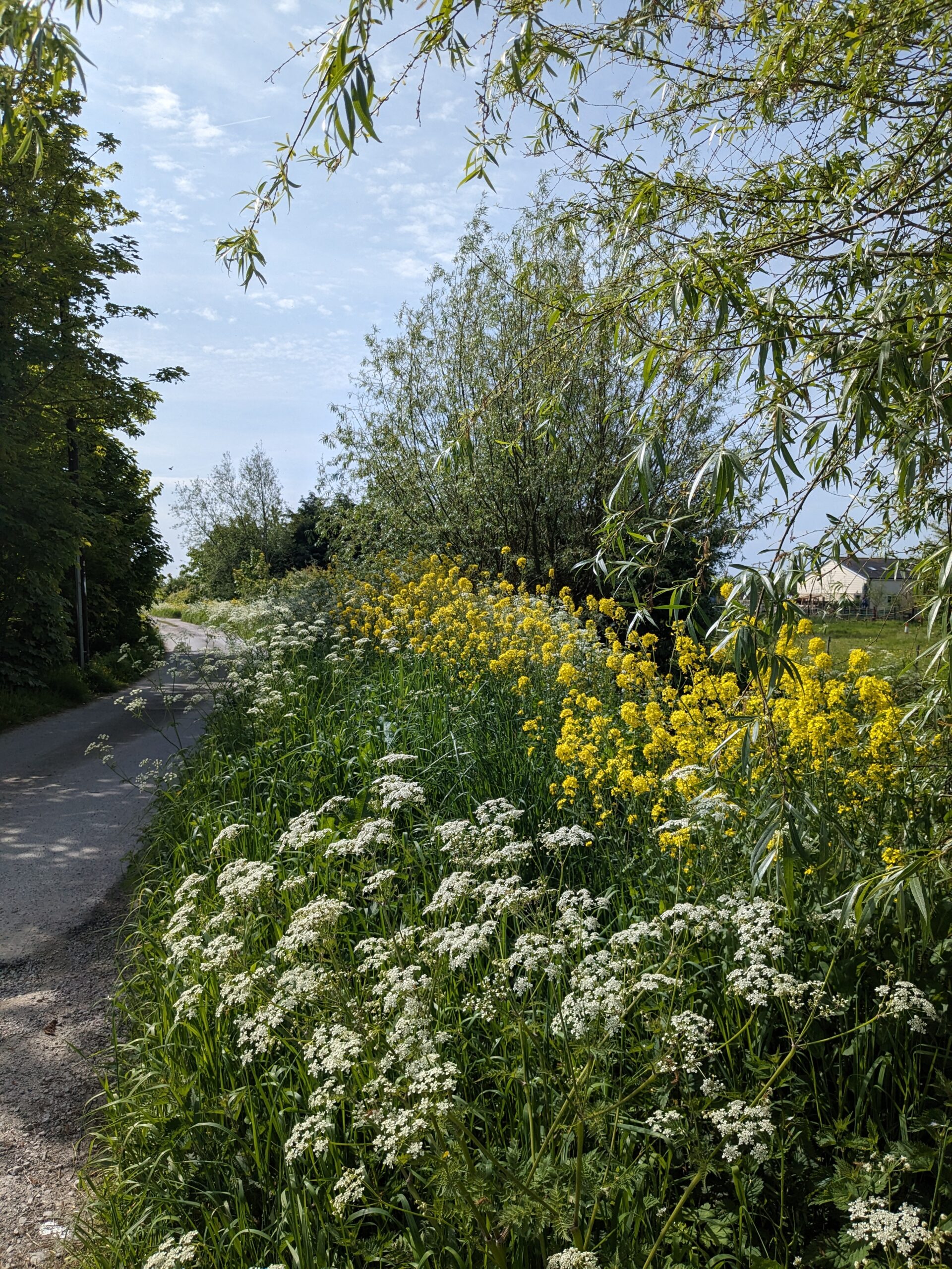 Blog - Spiral Path Life Coaching